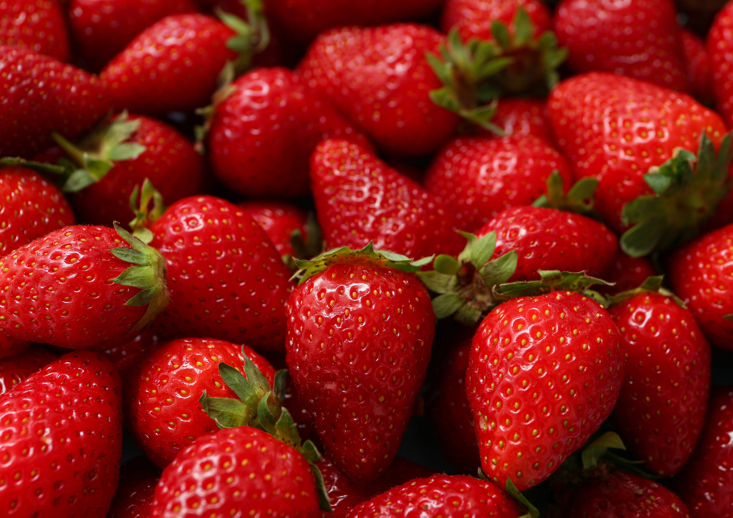 Strawberry: il nuovo progetto di OpenAI nella direzione dell'AGI ...